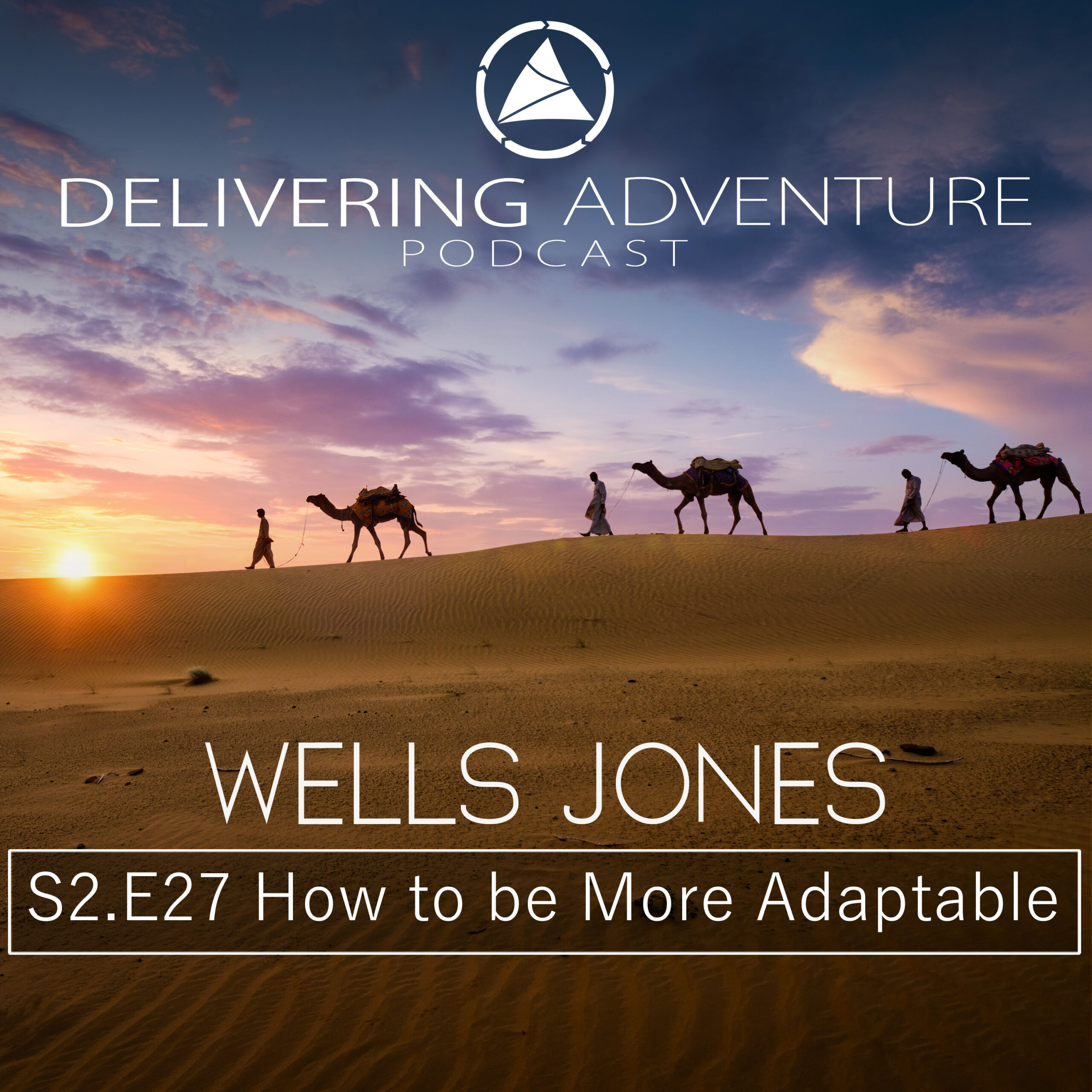 S2.E27: How to be More Adaptable with Wells Jones - Delivering ...